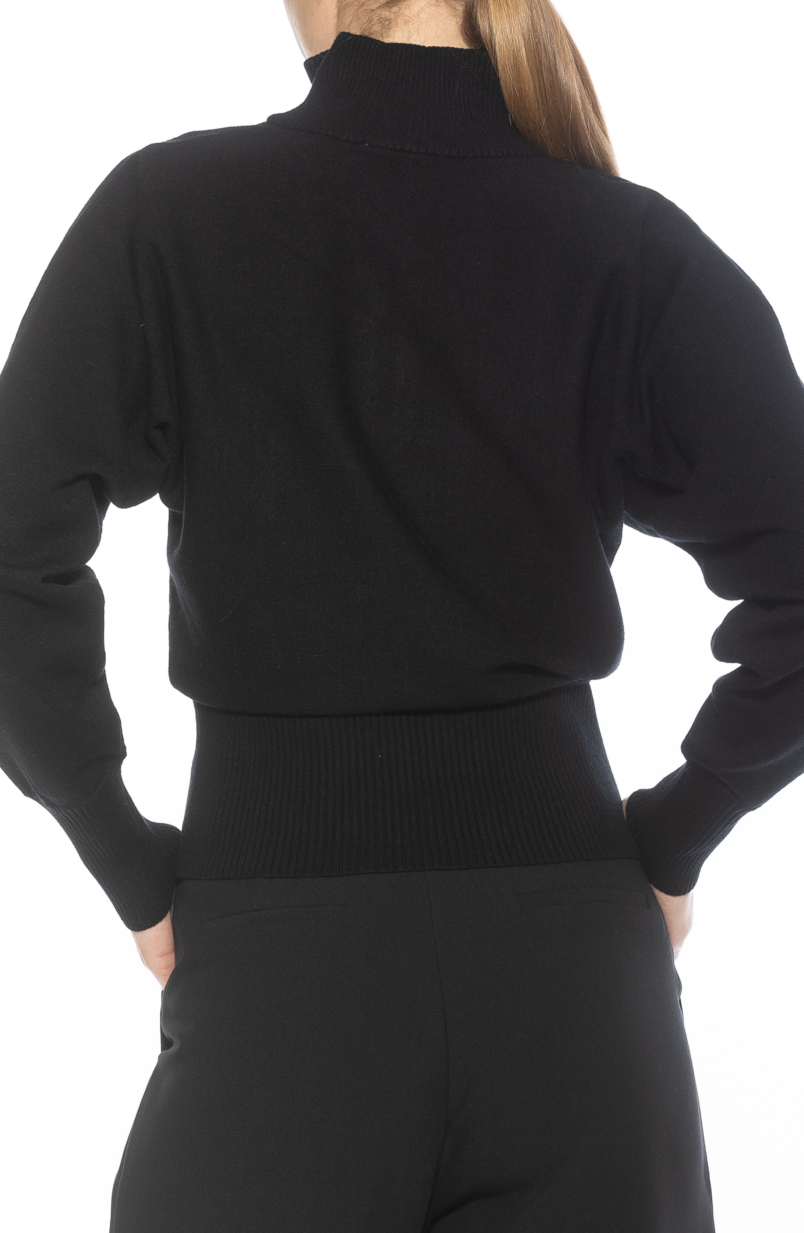 Alexia Admor Niko Quarter Zip Sweater | Nordstromrack