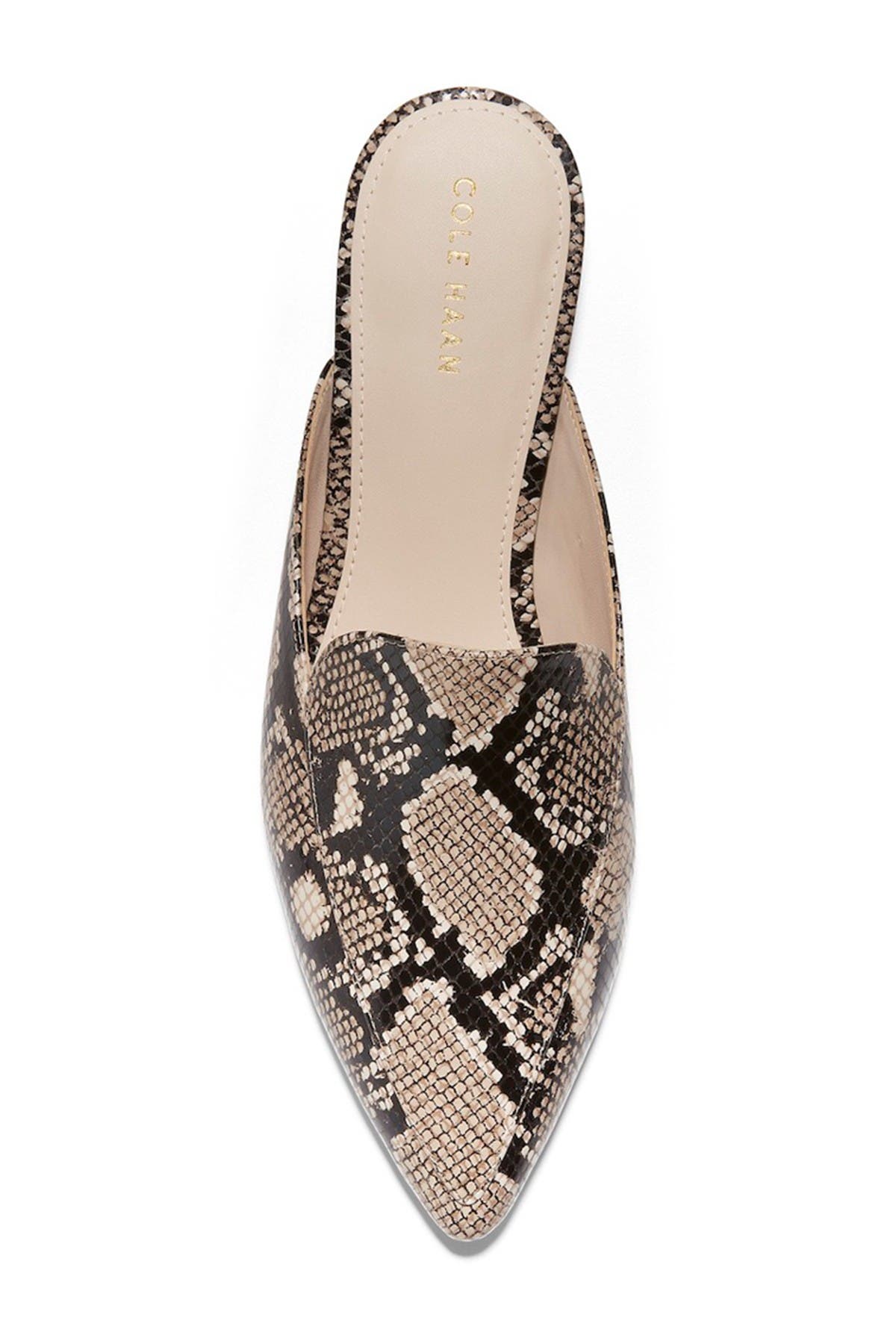 Cole Haan Piper Snake Print Mule | Nordstromrack