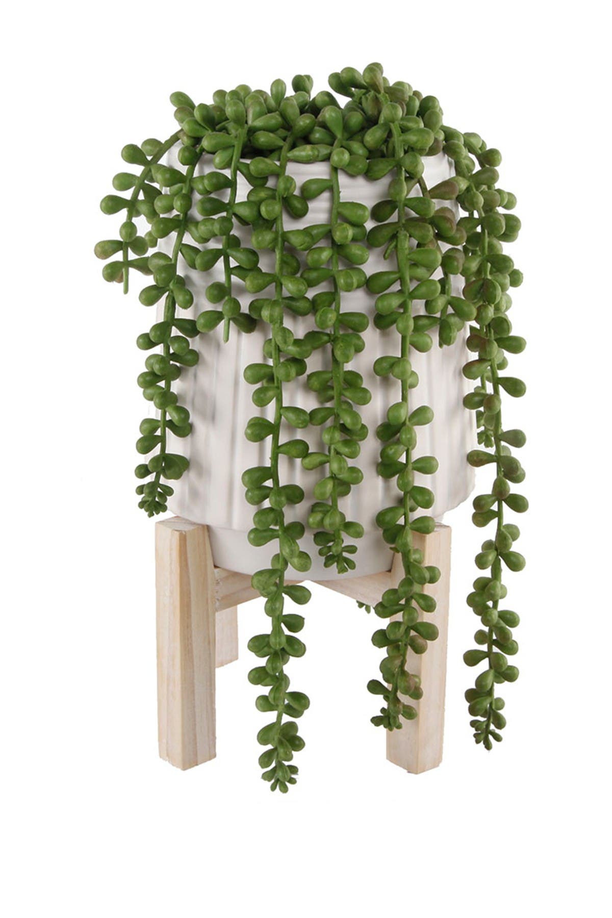 FLORA BUNDA String of Pearls Donkey Tail Ceramic Pot with Wood Stand ...