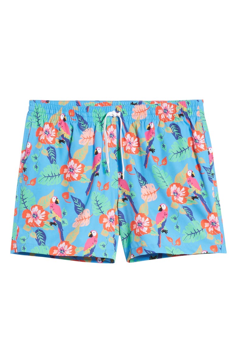Chubbies Painted Parrots Swim Trunks | Nordstrom