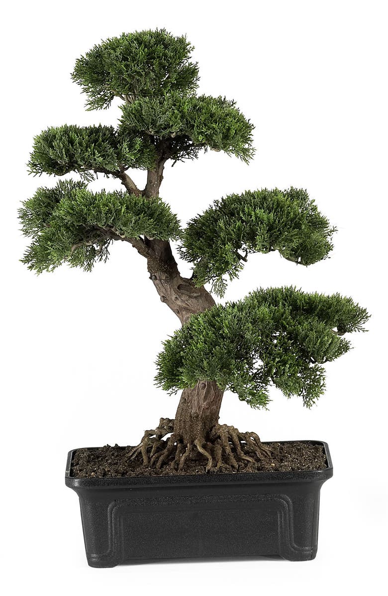 NEARLY NATURAL Cedar Bonsai Artificial Tree | Nordstromrack