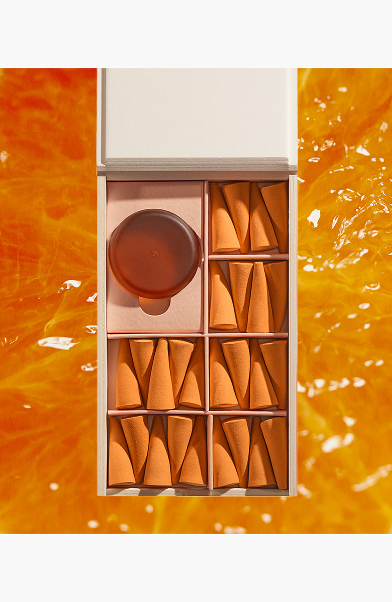 ripple⁺ home Mandarin Peel Incense Cones | Nordstrom