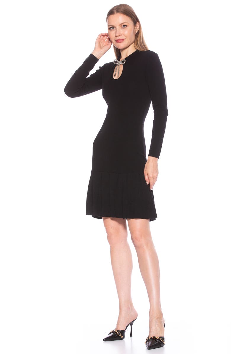 Alexia Admor Sloane Long Sleeve Knit Fit & Flare Dress | Nordstromrack
