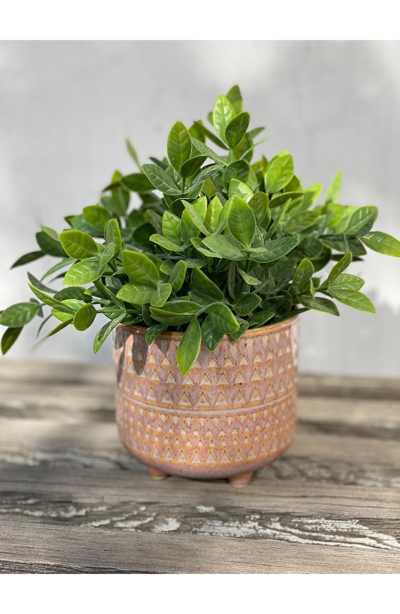 FLORA BUNDA Tea Leaf in 5" Mauve Pharaoh Footed Pot | Nordstromrack