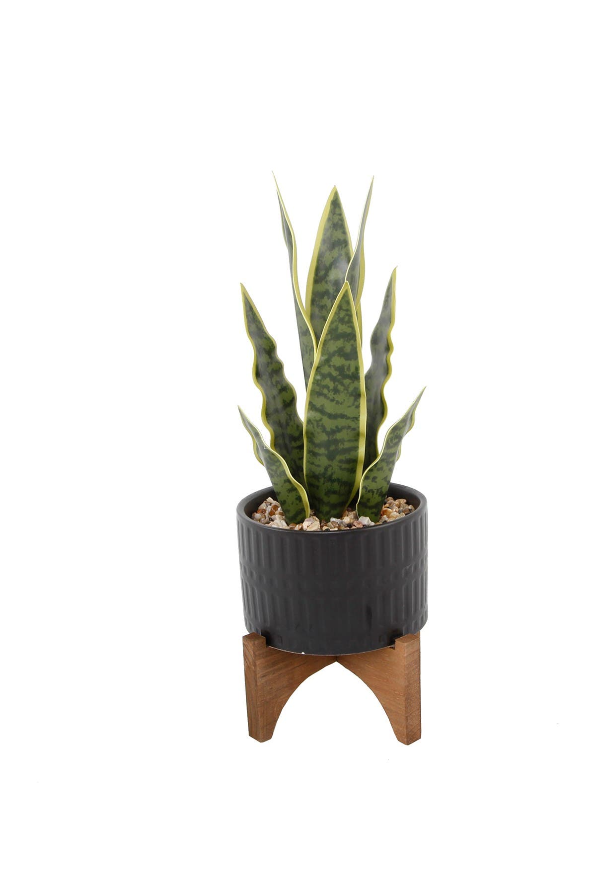 FLORA BUNDA Snake Plant Romam Ceramic Planter on Stand | Nordstromrack