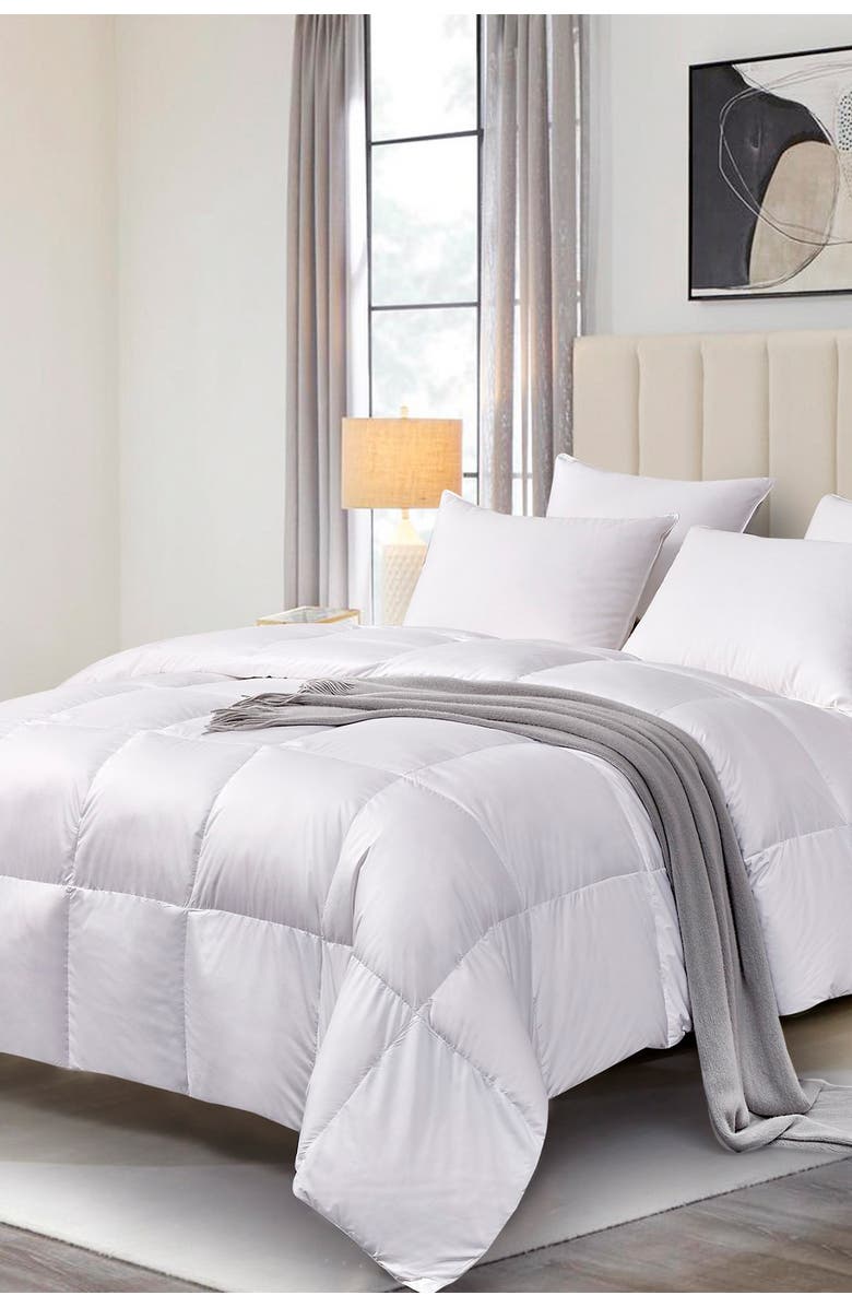 BLUE RIDGE HOME FASHIONS Scott Living Extra Warmth Down Fiber Comforter ...