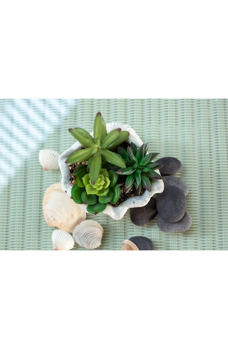 FLORA BUNDA White Faux Succulent Cement Shell Planter | Nordstromrack
