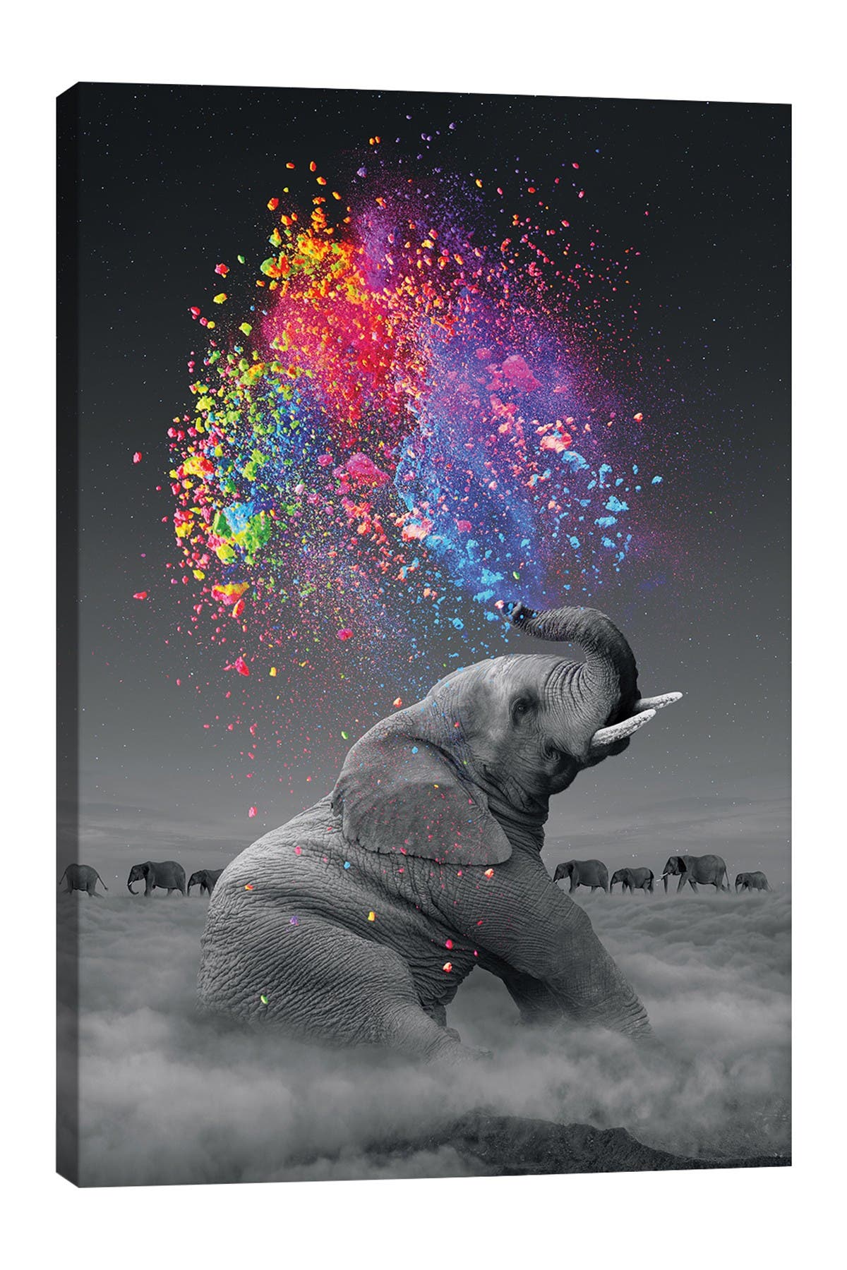 iCanvas Elephant - Color Explosion by Soaring Anchor Designs Canvas ...