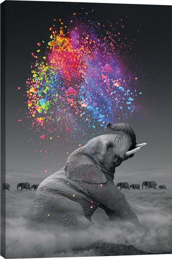 iCanvas Elephant - Color Explosion by Soaring Anchor Designs Canvas ...