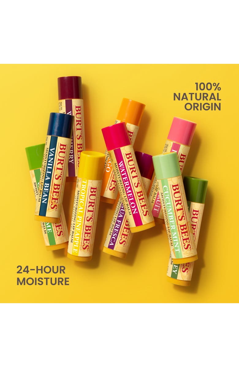 Burt's Bees Cucumber Mint Lip Balm | Nordstromrack