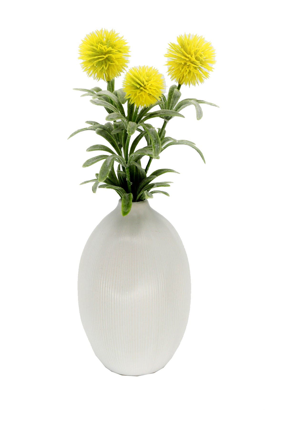 FLORA BUNDA 11" Pom Pom in Ceramic Pot | Nordstromrack