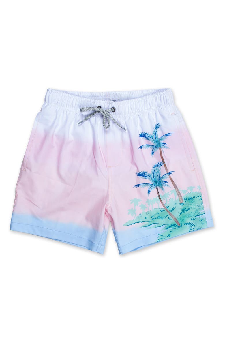 Vintage Summer Little Island Swim Shorts | Nordstromrack