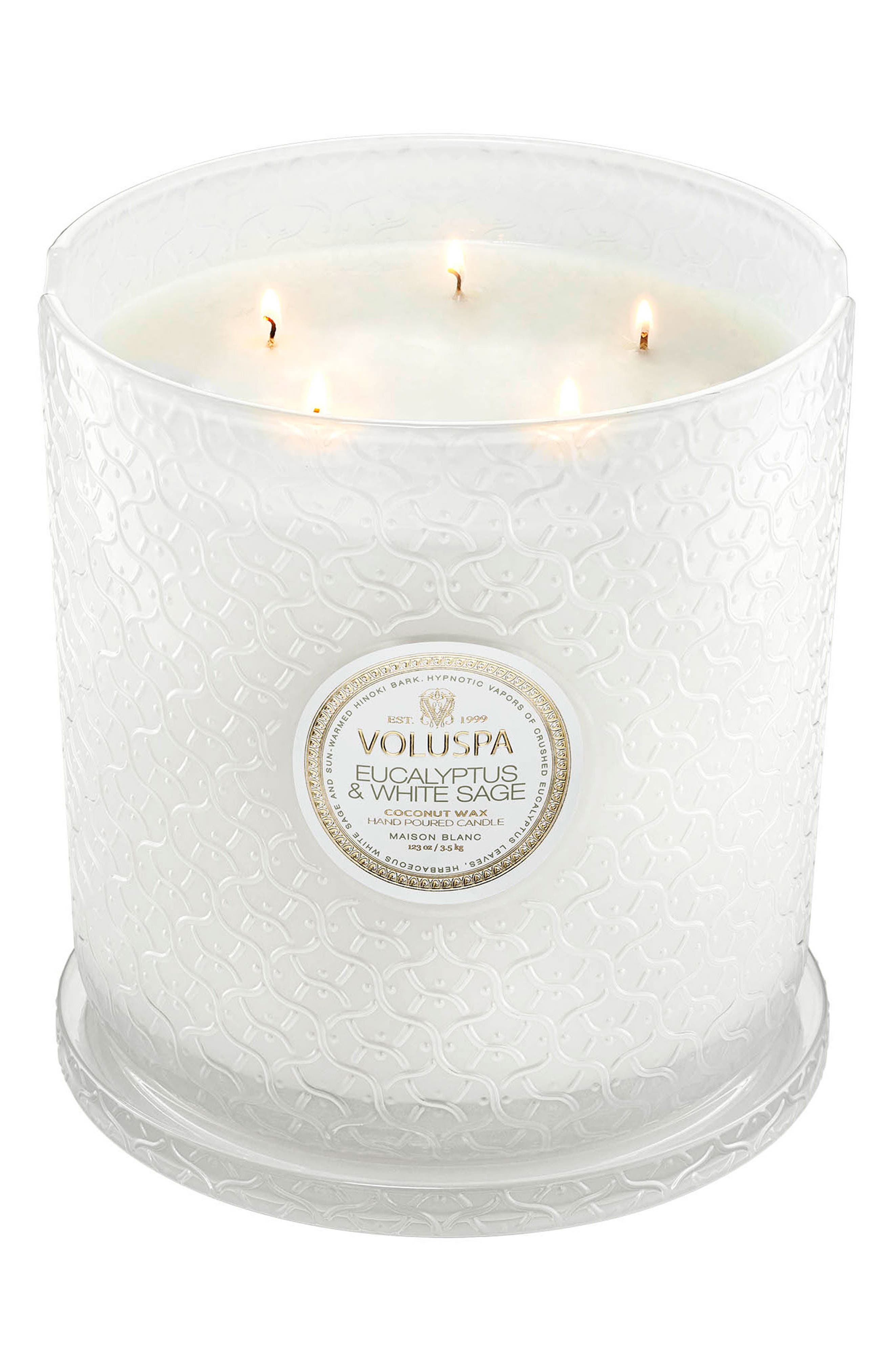 Voluspa Eucalyptus & White Sage Five-Wick Hearth Candle | Nordstrom