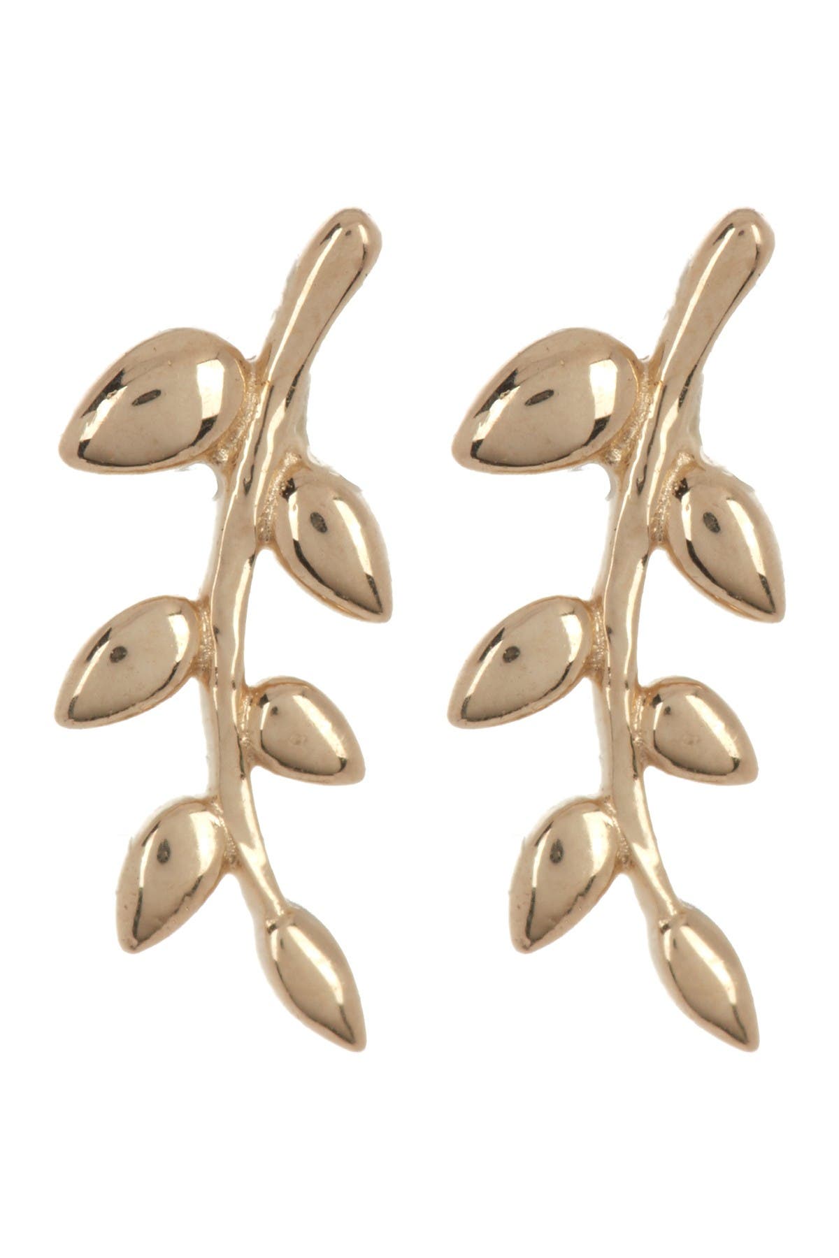 CANDELA JEWELRY 10K Yellow Gold Olive Branch Earrings | Nordstromrack