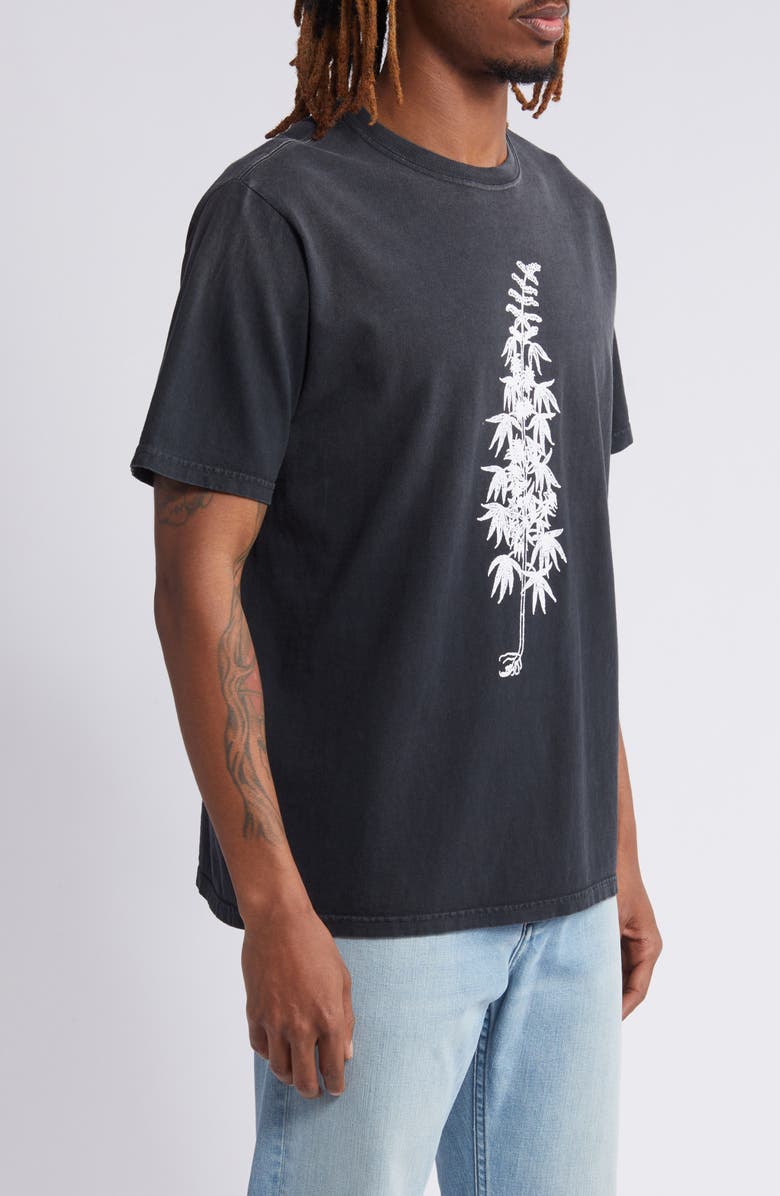ONE OF THESE DAYS More Peace More Freedom Cotton Graphic T-Shirt ...