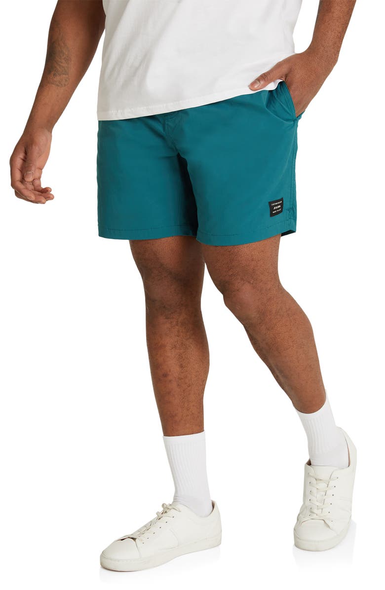 Johnny Bigg Avalon Swim Trunks | Nordstromrack