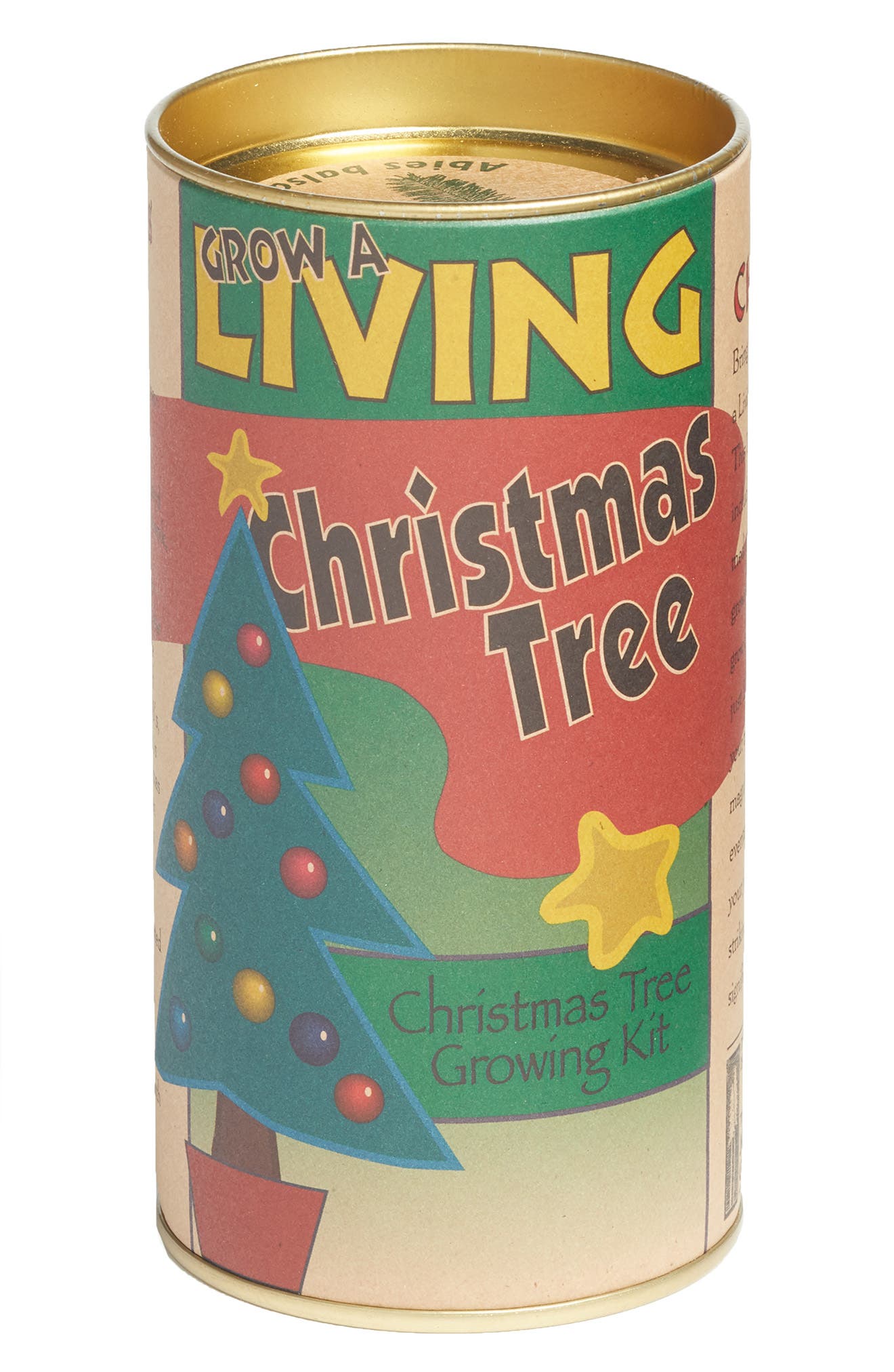 JONSTEEN Balsam Fir Christmas Tree Grow Kit | Nordstrom