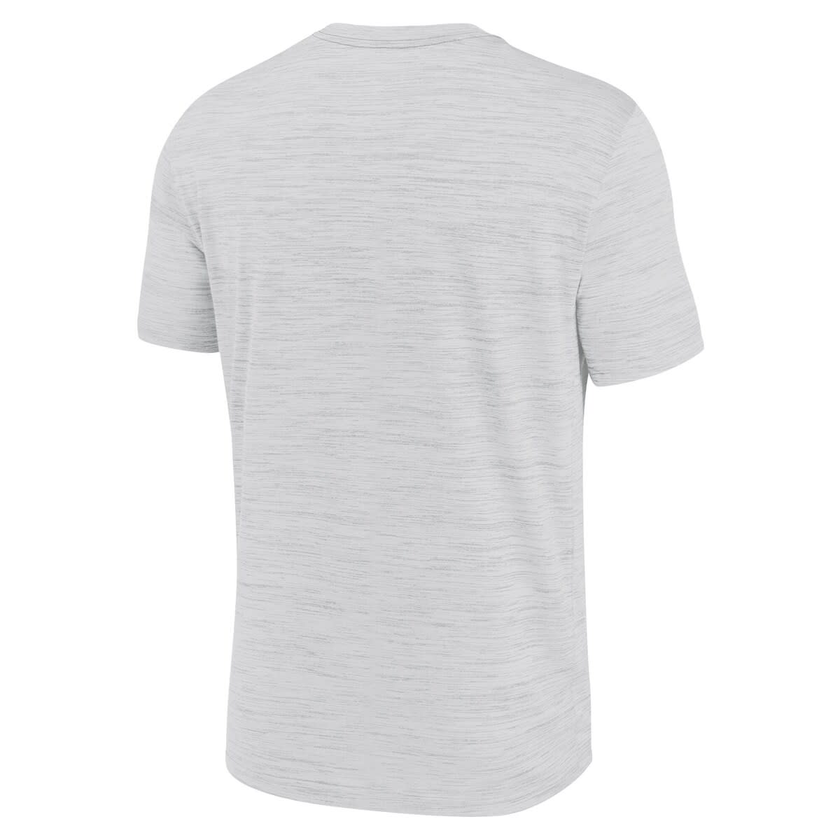 Jordan Brand Men's Jordan Brand White Florida Gators Velocity Stacked ...