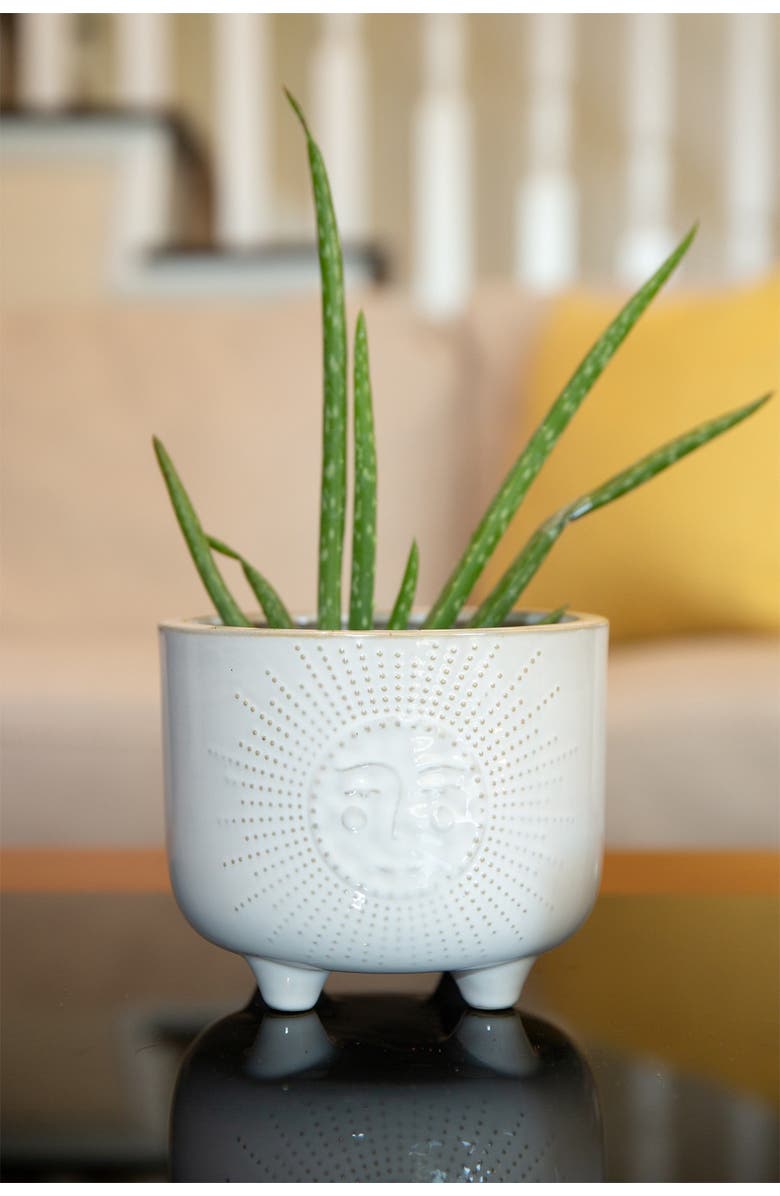 FLORA BUNDA Ivory 6" & 4.75" Sunny Ceramic Footed Planter - Set of 2 ...