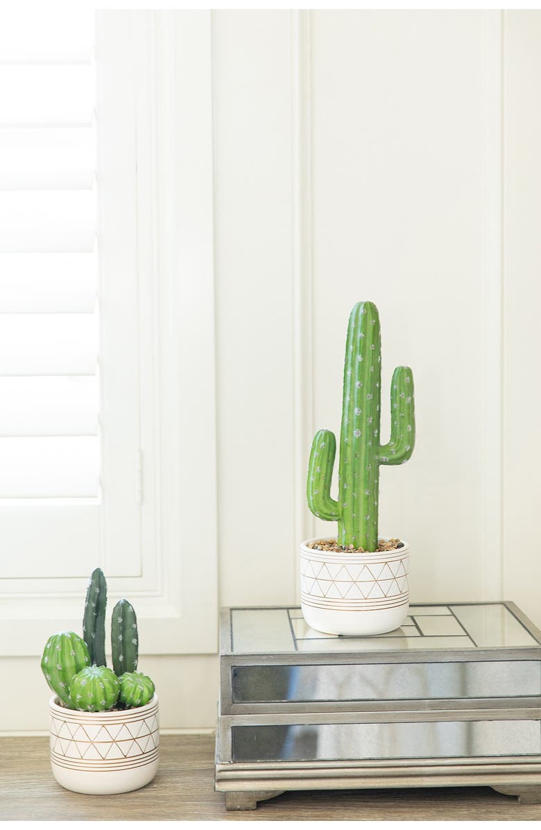 FLORA BUNDA White/Gold Faux Cactus Garden | Nordstromrack