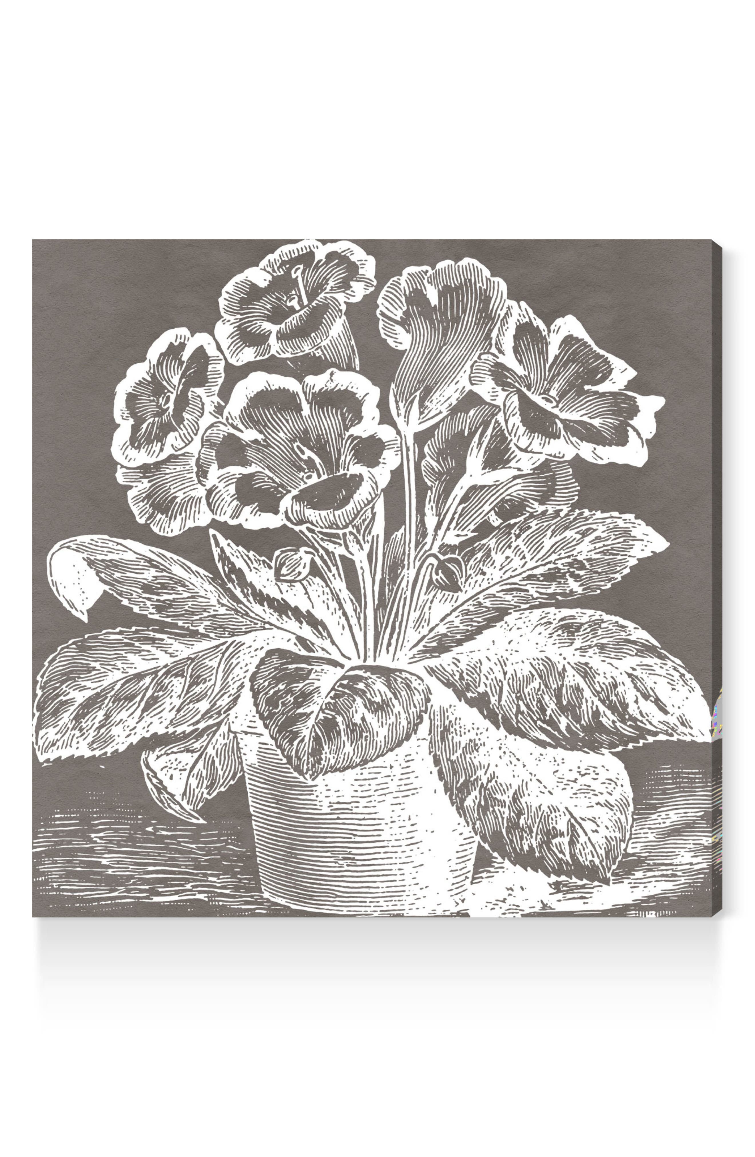 Oliver Gal Potted Primrose Canvas Wall Art | Nordstrom