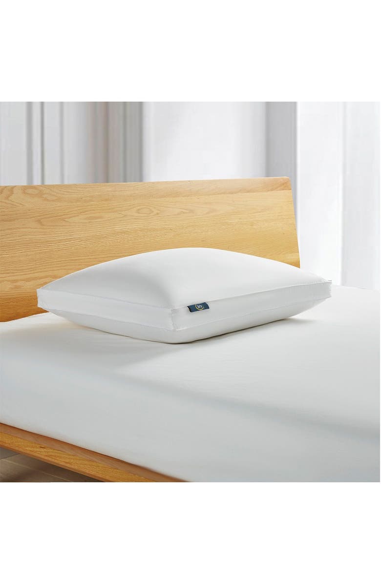 BLUE RIDGE HOME FASHIONS Serta 300 Thread Count White Down Fiber Bed ...