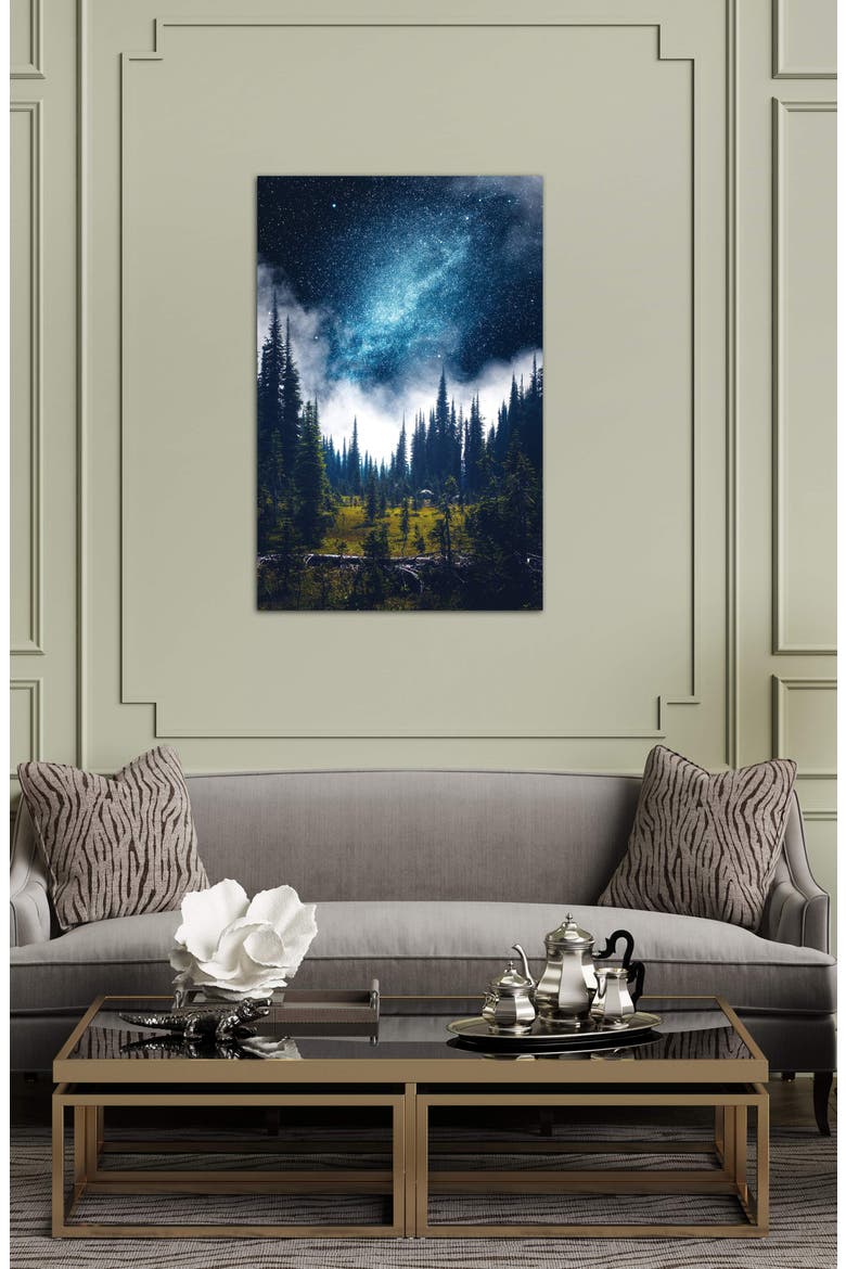 Alpine Dreamland by Zach Doehler Canvas Print - 26"x18" | Nordstromrack
