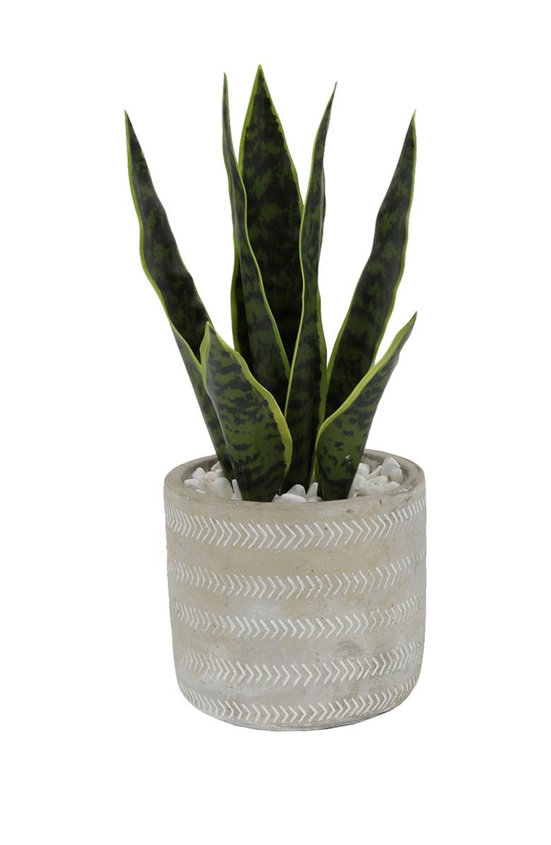 FLORA BUNDA Grey Faux Snake Plant Cement Planter | Nordstromrack
