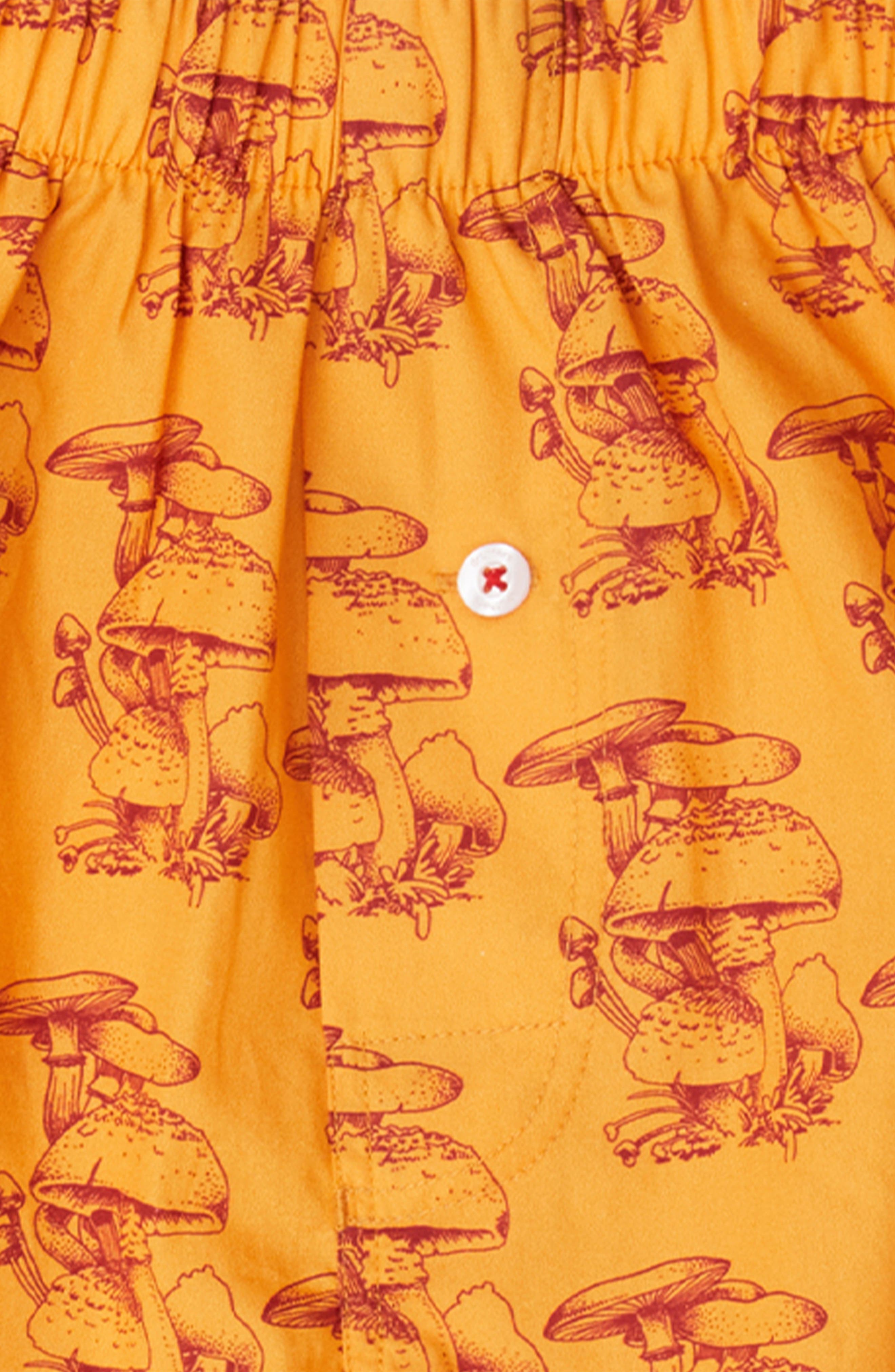 Druthers NYC Organic Cotton Gorey Sketch Shroom Boxer Short | Nordstrom