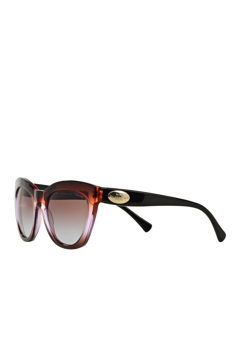 54mm Cat Eye Core Sunglasses (Women) | Nordstromrack