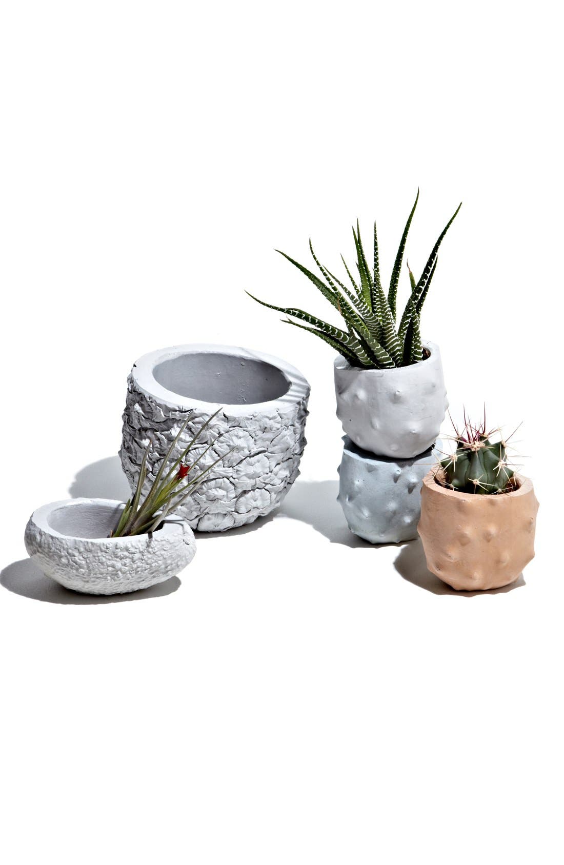 Chen Chen & Kai Williams 'Stone Fruit: Horned Melon' Planter | Nordstrom