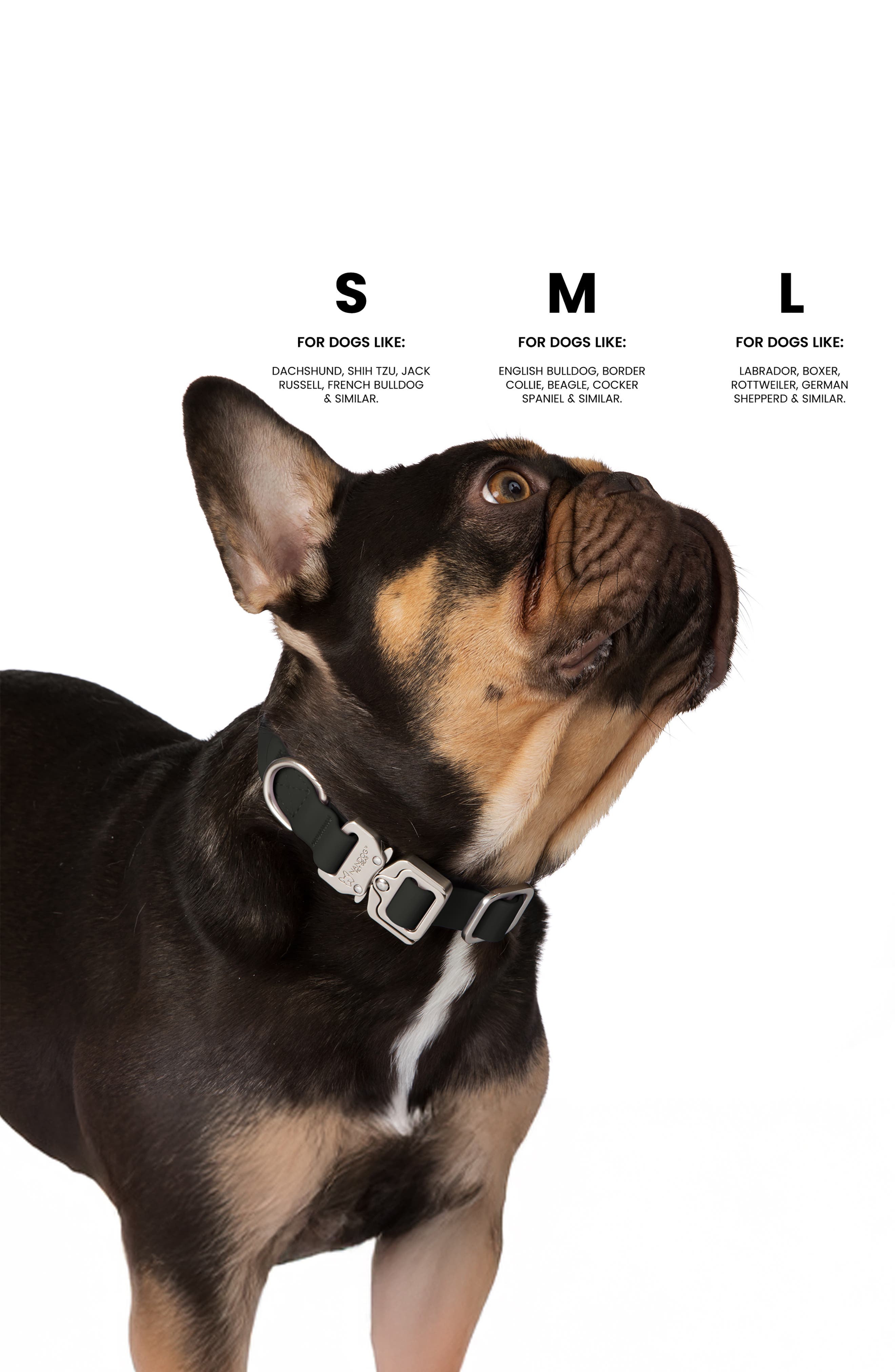 Nandog Pet Gear Waterproof Poly-Flex Sport Dog Collar | Nordstrom