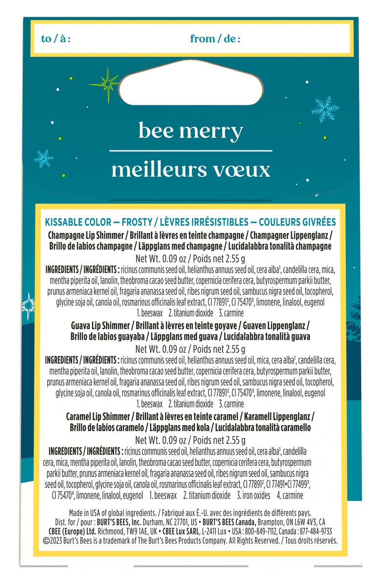 Burt's Bees Kissable Color Frosty Collection Lip Shimmer Gift Set ...