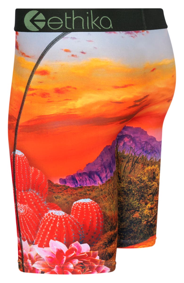 Ethika Kids' Desert Dog Boxer Briefs | Nordstrom