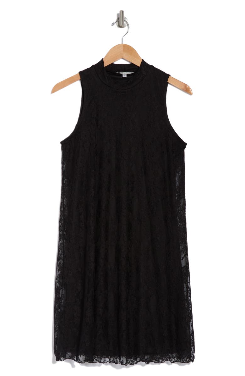 TASH AND SOPHIE Sleeveless Lace Trapeze Dress | Nordstromrack