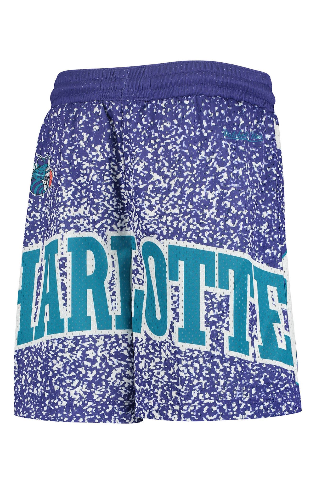 Mitchell & Ness Youth Mitchell & Ness Purple Charlotte Hornets Hardwood ...