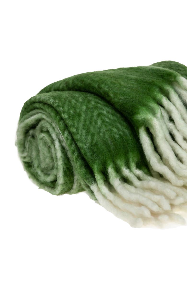 PARKLAND COLLECTION Nagar Transitional Green 52" x 67" Woven Handloom ...