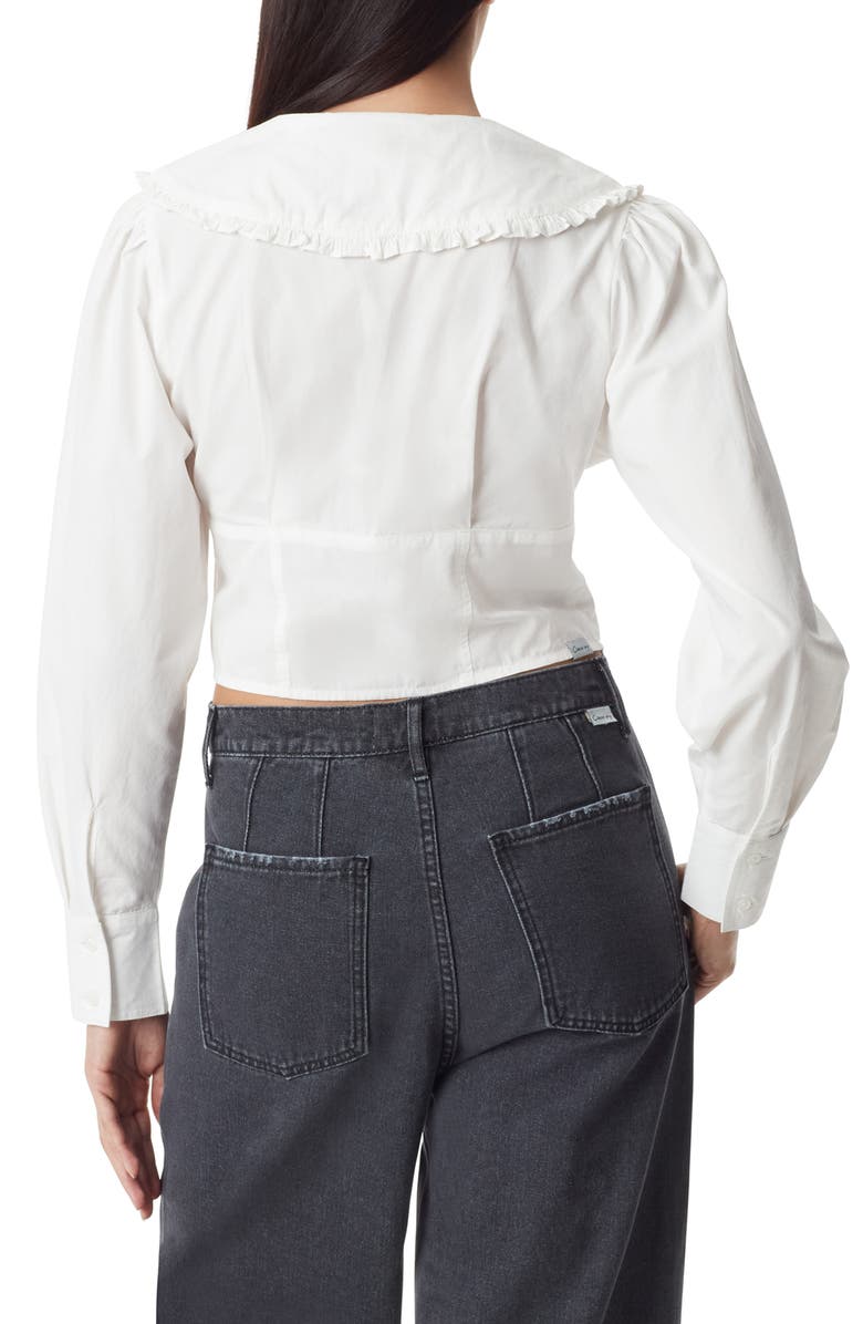 Circus NY by Sam Edelman Zander Ruffle Collar Cotton Shirt | Nordstromrack