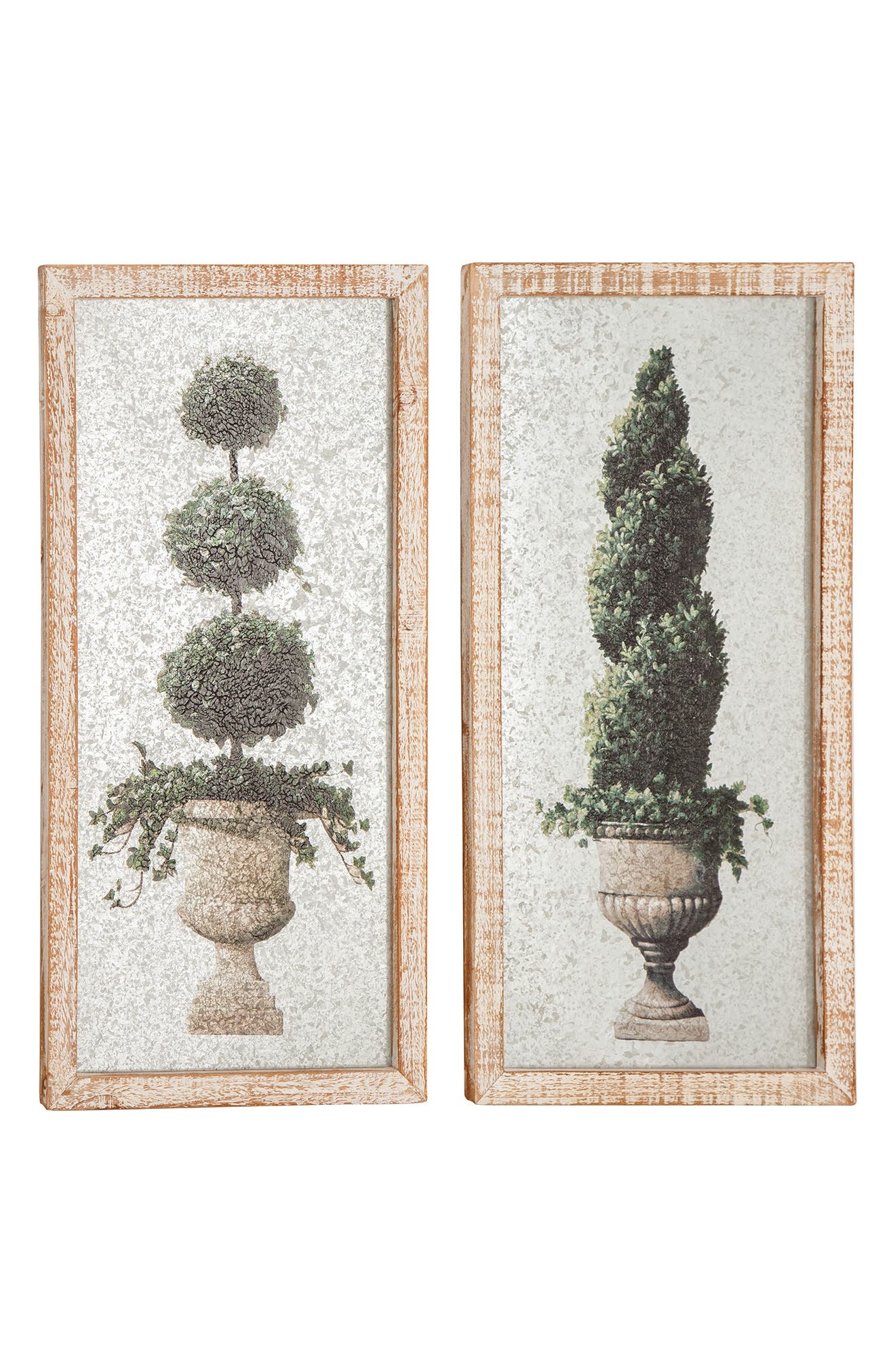 WILLOW ROW Extra Large Green Botanical Print with Whitewashed Wood ...