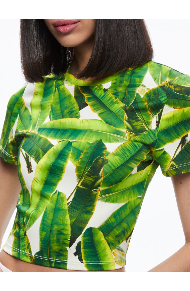 Alice + Olivia Cindy Palm Print Crop T-Shirt | Nordstromrack