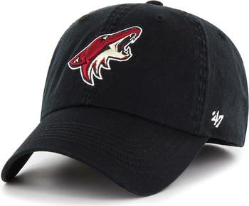 '47 Men's '47 Black Arizona Coyotes Classic Franchise Fitted Hat ...