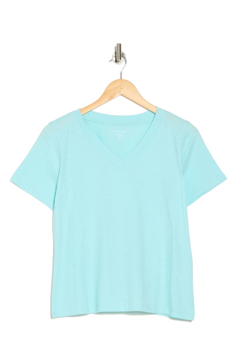 Eileen Fisher Organic V-Neck T-Shirt | Nordstromrack