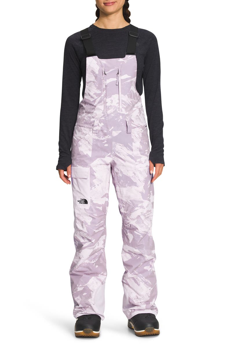 The North Face Freedom Waterproof Snow Bib Overalls | Nordstromrack