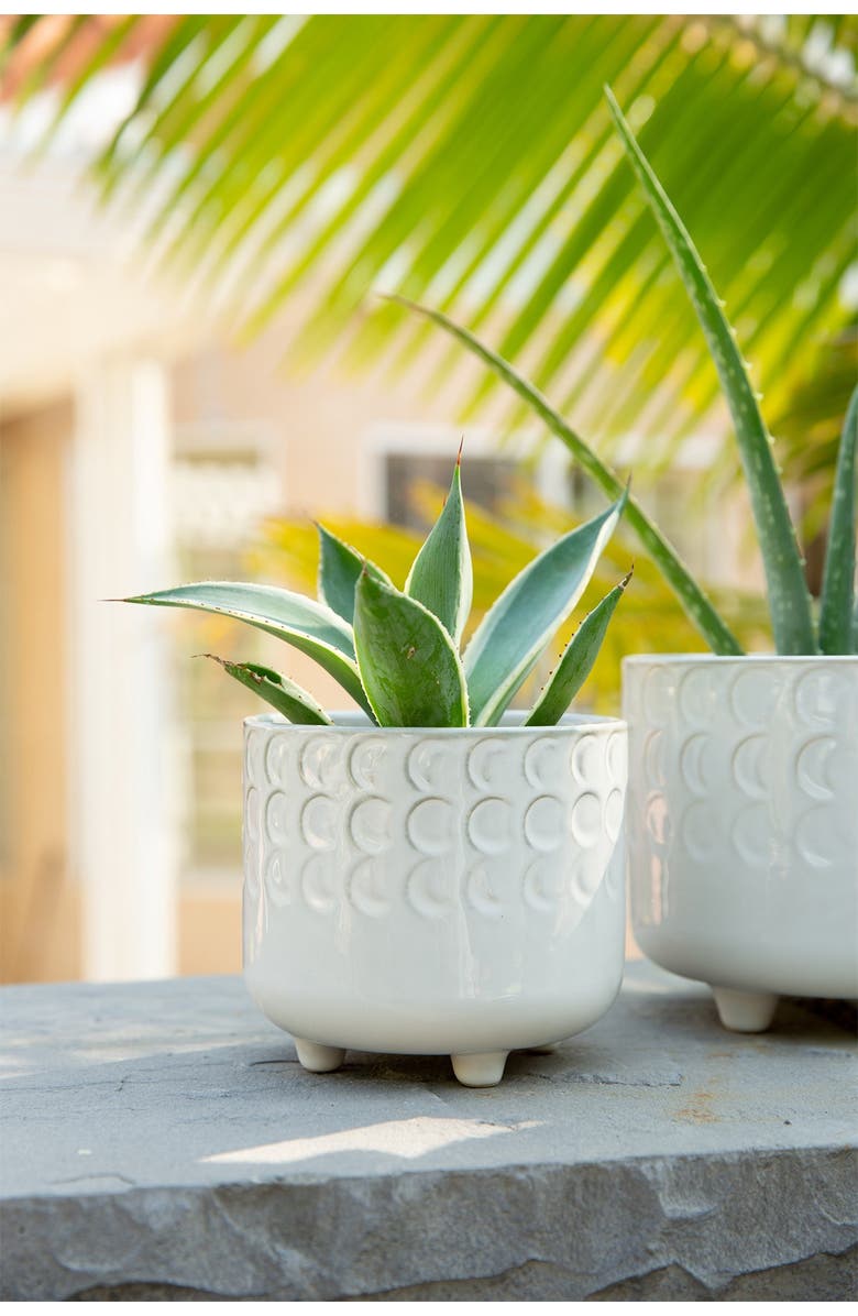 FLORA BUNDA Ivory 6" & 4.75" Small Moon Phase Footed Planter- Set of 2 ...