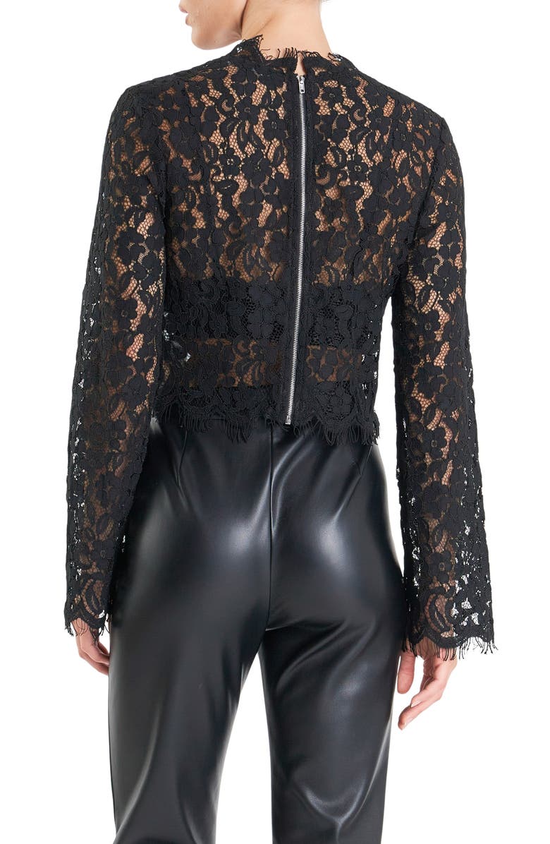 Endless Rose Sheer Lace Top | Nordstrom