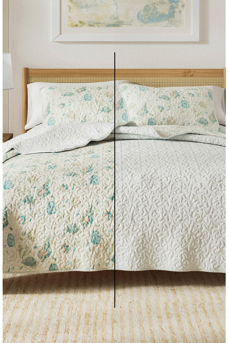 Coastal Seashell Quilt & Sham Set | Nordstromrack