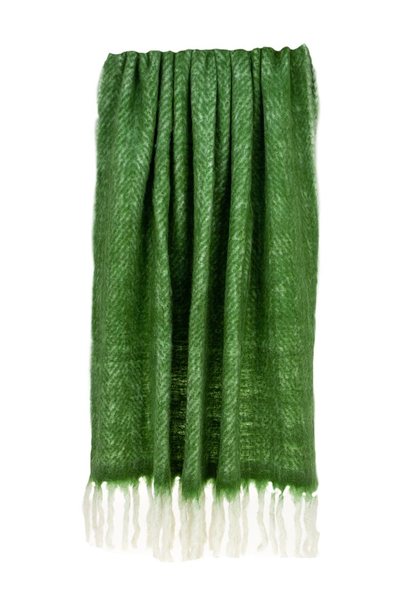 PARKLAND COLLECTION Nagar Transitional Green 52" x 67" Woven Handloom ...