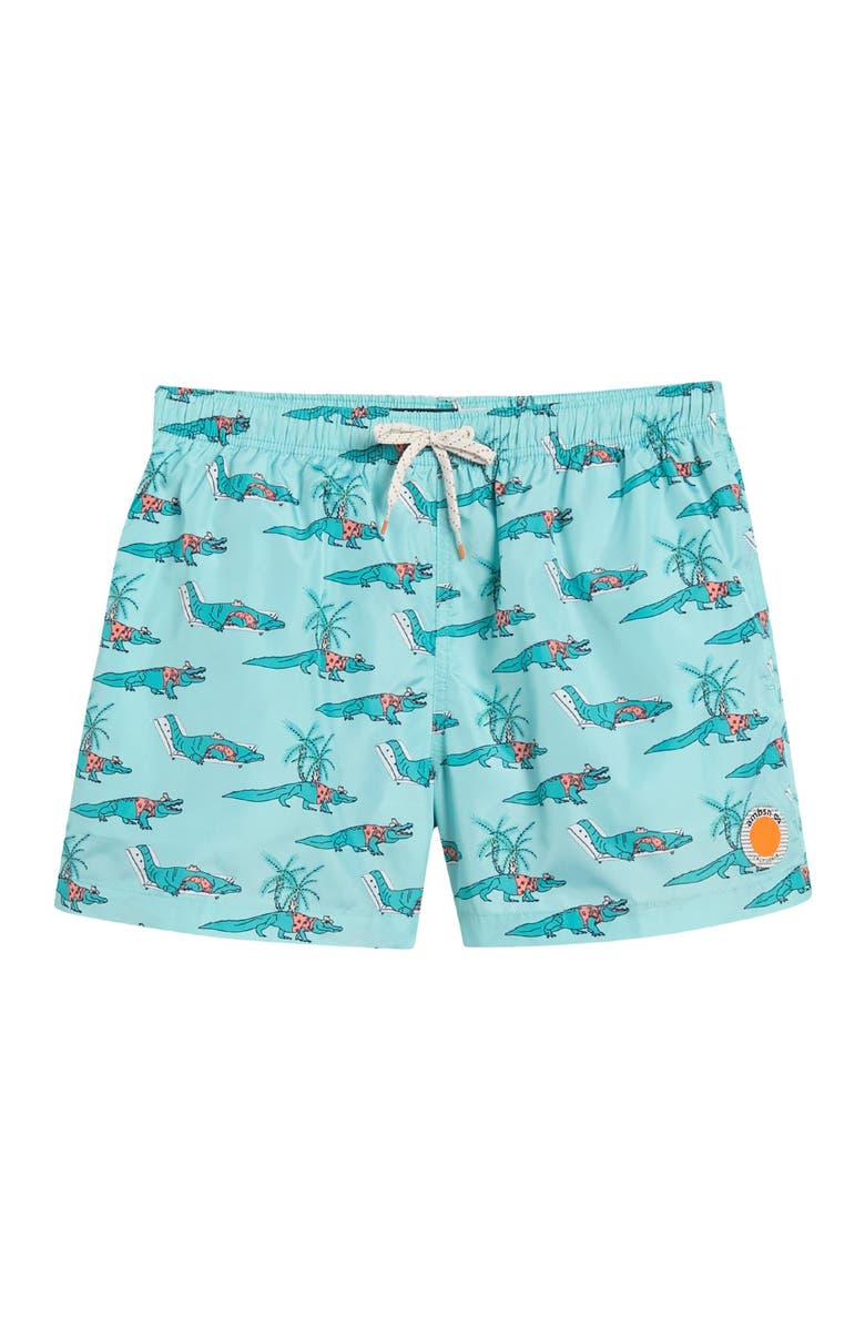 ambsn Lounge Lizard Board Shorts | Nordstromrack