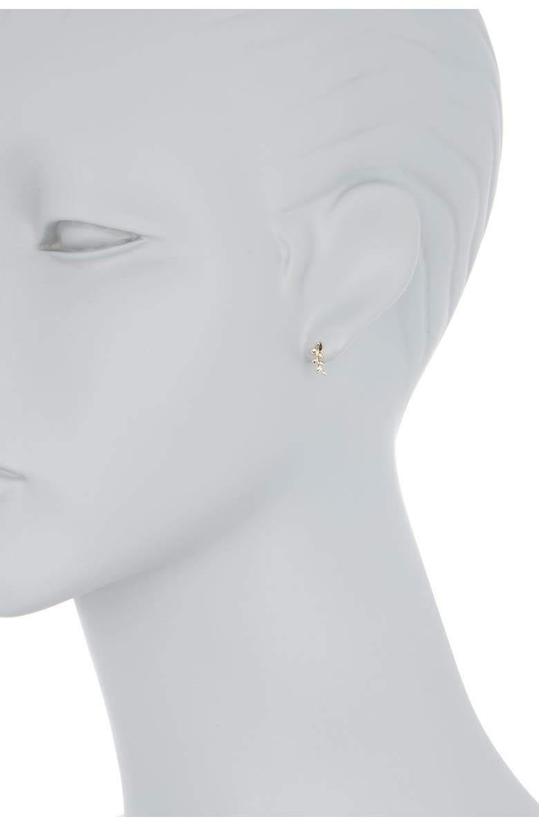 CANDELA JEWELRY 10K Yellow Gold Olive Branch Earrings | Nordstromrack