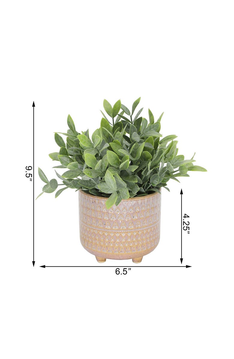FLORA BUNDA Tea Leaf in 5" Mauve Pharaoh Footed Pot | Nordstromrack